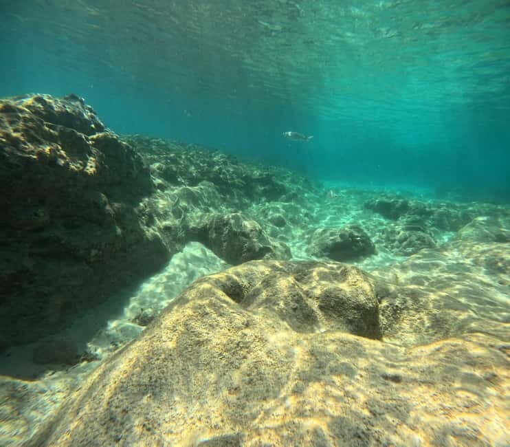 Morro Jable: Try Diving Experience for Beginners - What Makes This Tour Special?