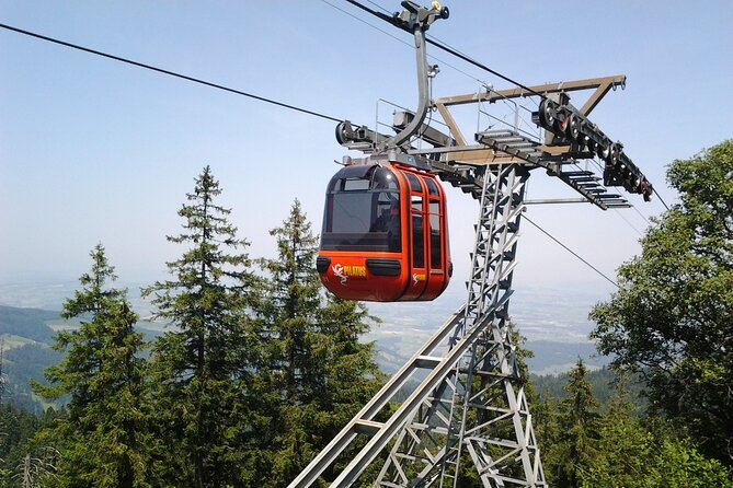 Mount Pilatus off-season Small Group Tour from Basel - Exploring the Mount Pilatus off-season Small Group Tour from Basel: A Detailed Review
