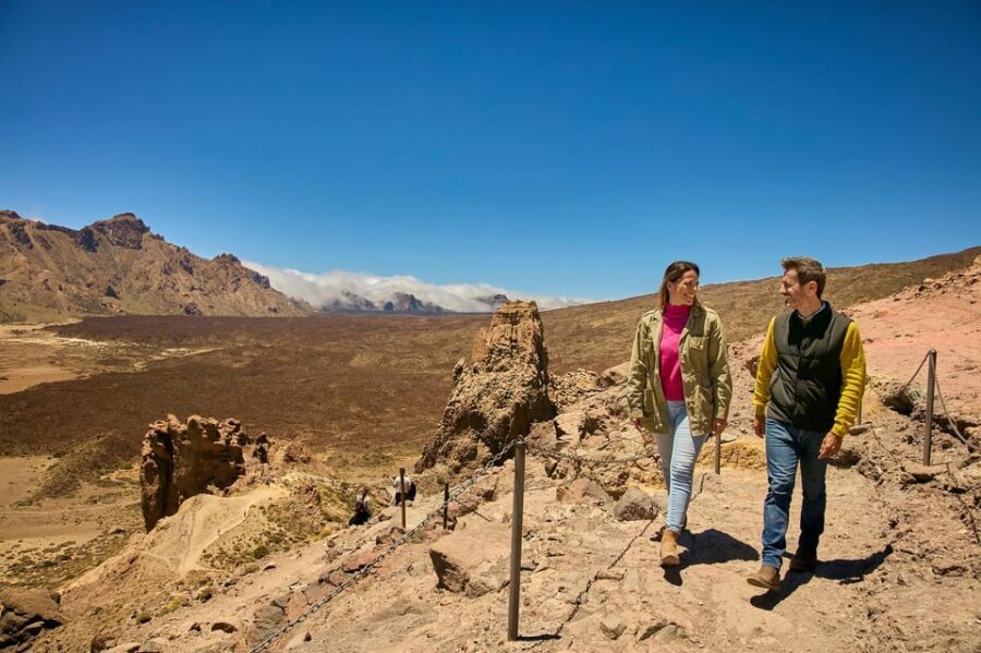 Mount Teide: Day Trip to Volcano Teide Without Cable Car - Who This Tour Is Best For