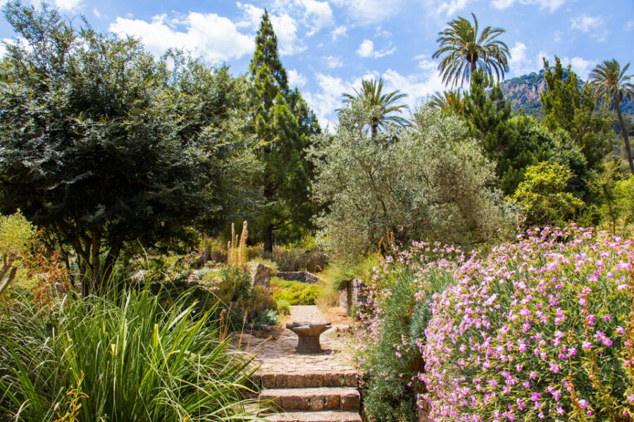 MUCBO | Jardí Botànic de Sóller - Balearic Museum of Natural Sciences - Who Should Consider This Tour?