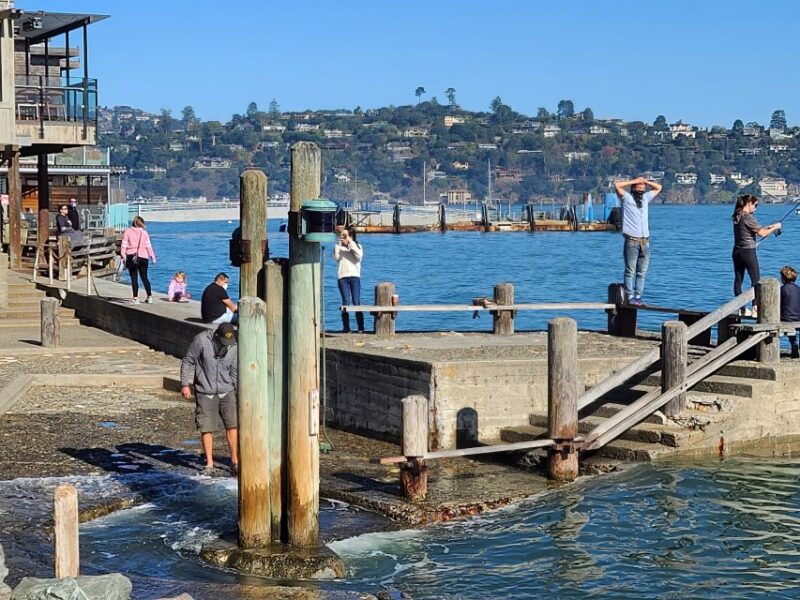 Muir Woods, Sausalito and Ferry back to Fisherman's Wharf - Key Points