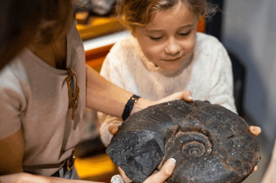 Mutriku: Nautilus Flysch Fossils Experience - An In-Depth Look at the Nautilus Fossils Experience
