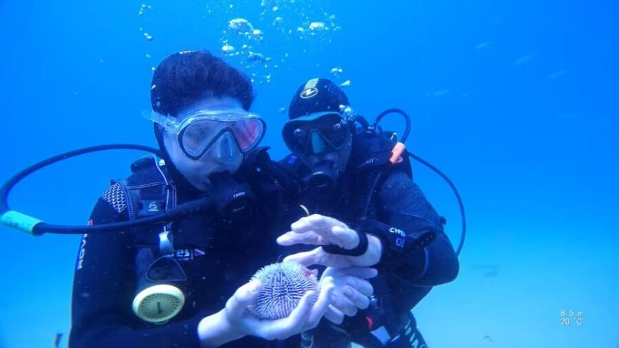 My first scuba dive in the Ocean from Madeira - Why We Think This Experience Works