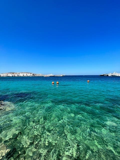 Mykonos: Beach Hopping Tour by Van - Who Should Book This Tour?
