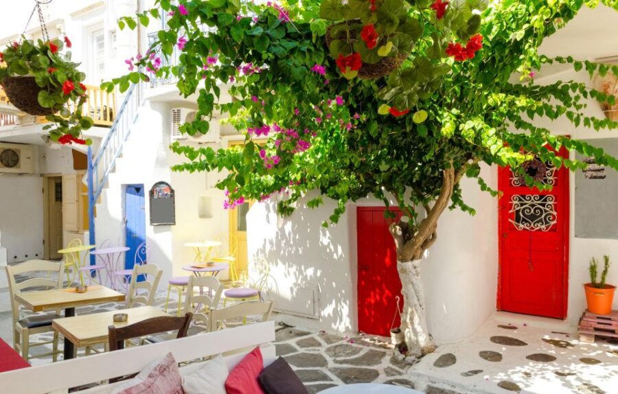 Mykonos Delight: A Perfect Day Trip from Your Cruise Ship - The Itinerary: What You’ll See and Do