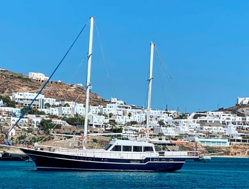 Mykonos: Delos and Rhenia Islands Cruise with BBQ Meal - Pricing and Value