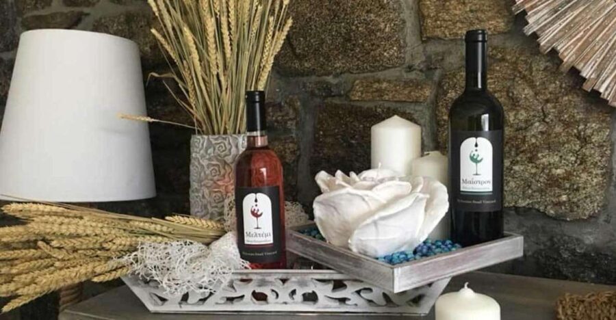 Mykonos: Half-Day Wine Tasting and Snack at a Local House - Why This Tour Works Well