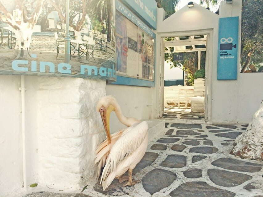 Mykonos: Old Town Walking Tour with Certified Local Guide - FAQ