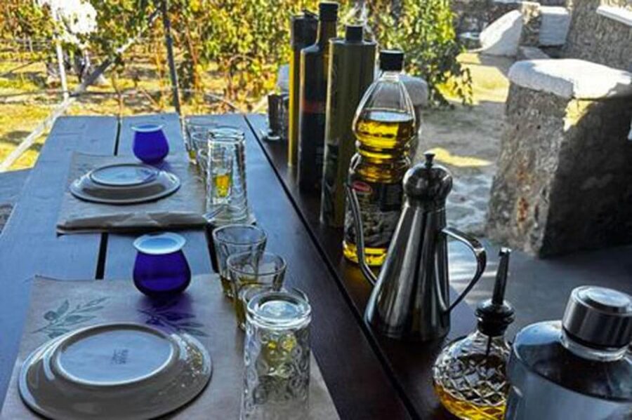 Mykonos: Olive Oil Tasting Experience - Who Will Love This Tour?