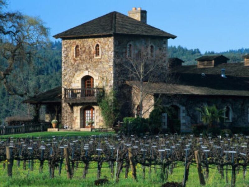 Napa: St. Francis Winery & Vineyards Wine Tour with Tasting - Key Points