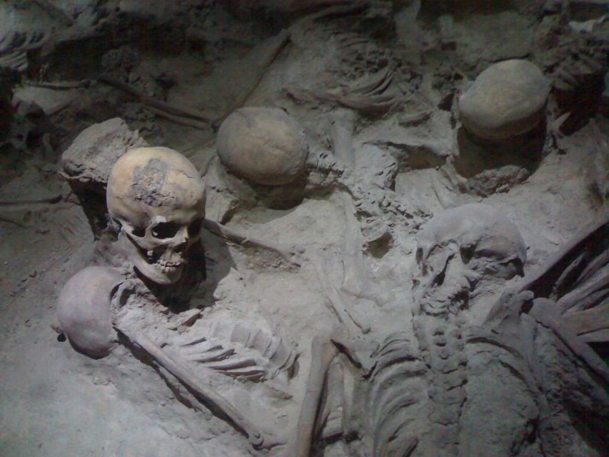 Naples: Full-Day Pompeii & Herculaneum Wine Tasting Tour - A Deep Dive into the Experience