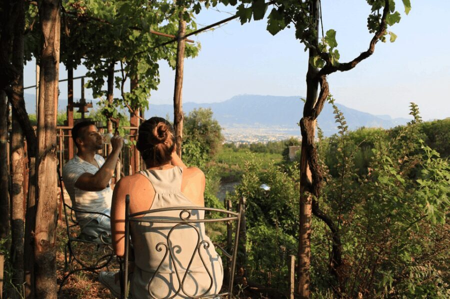 Naples: Pompeii and Herculaneum Tour with Tickets and Lunch - FAQ