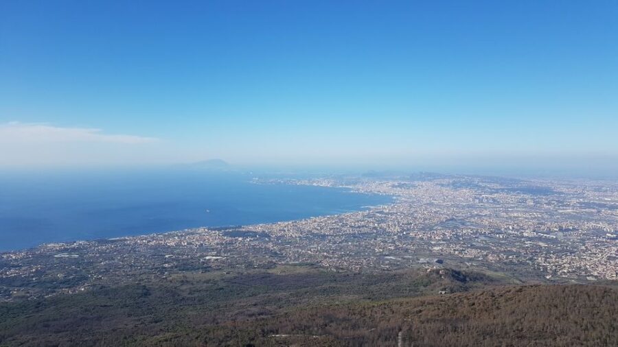 Naples: Pompeii, Herculaneum, and Vesuvius Tour by Minivan - What to Expect on This Full-Day Adventure