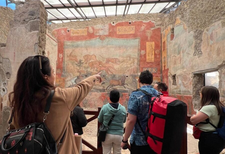 Naples: Pompeii & Mt. Vesuvius Day Trip with Tickets & Lunch - Why This Tour Delivers Value