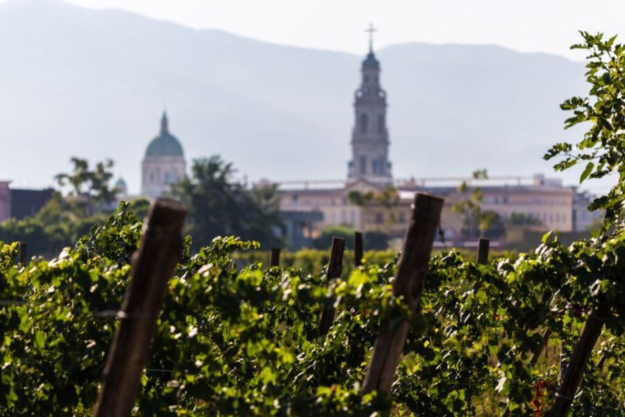 Naples: Pompeii Wine Tasting With Lunch - Tasting and Lunch: A Perfect Pairing