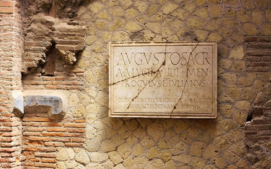 Naples: Shore Excursion to Pompeii Ruins with Guided Tour - Analyzing the Value: Is It Worth the Price?