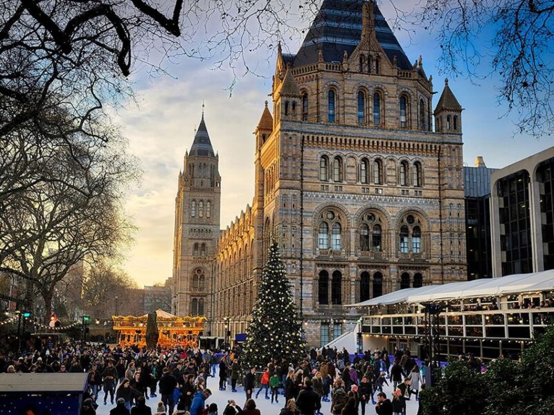 Natural Museum: Butterflies, Gems, Dinosaurs Explored - Key Points
