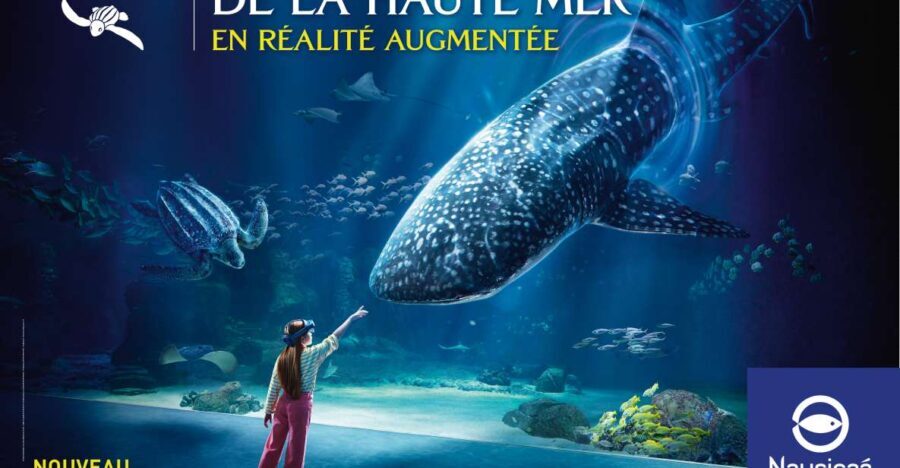 Nausicaá National Sea Center: Full-Day Entry Ticket - What to Expect on Your Visit