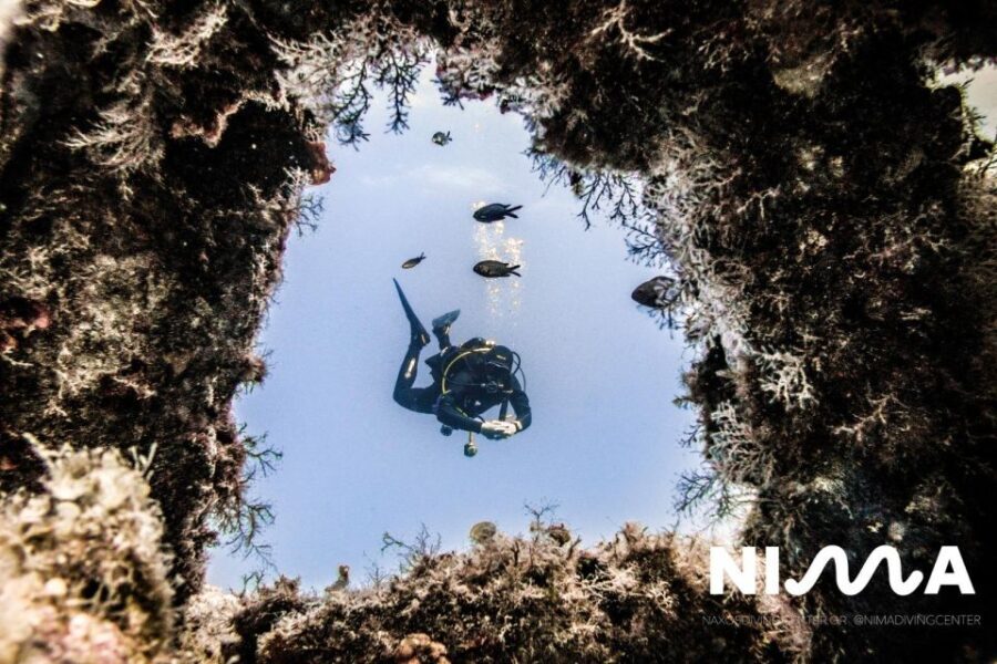 Naxos: Discover Scuba Dive with Nima Dive Center - Value and Pricing: Is It Worth It?