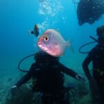 Naxos: Discover Scuba Diving - Your first experience diving - Why the House Reef Makes a Difference