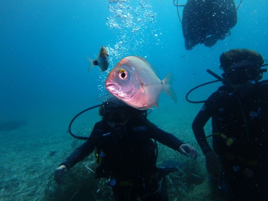 Naxos: Discover Scuba Diving - Your first experience diving - Why the House Reef Makes a Difference