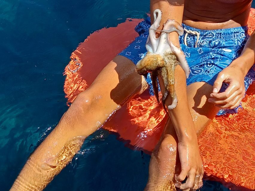 Naxos: Private Fishing Boat Trip with Fresh Onboard Meal - Who Will Love This Experience?