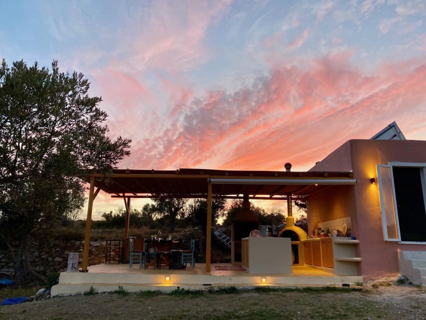 Naxos: private traditional dining in the olive grove - The Menu and Culinary Highlights