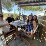 Naxos: Private Vineyard Tour & Wine Tasting with an Expert - What to Expect from the Itinerary