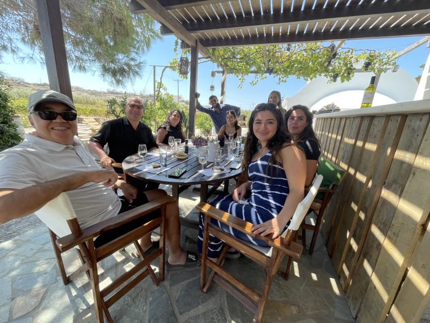 Naxos: Private Vineyard Tour & Wine Tasting with an Expert - What to Expect from the Itinerary