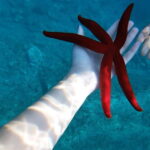 Naxos: Taormina Boat Tour with Snorkeling and Prosecco - An Authentic Look at the Experience