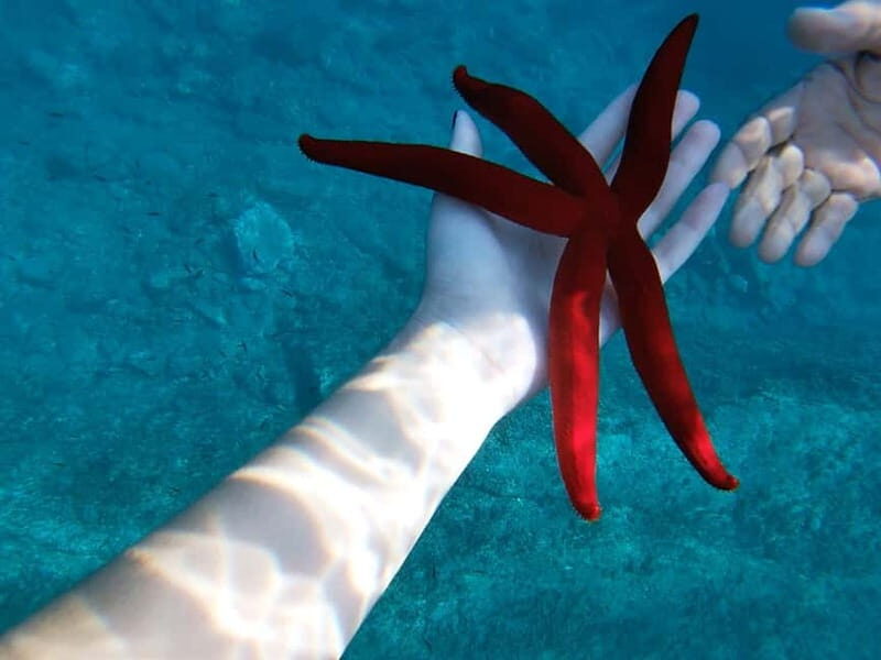 Naxos: Taormina Boat Tour with Snorkeling and Prosecco - An Authentic Look at the Experience