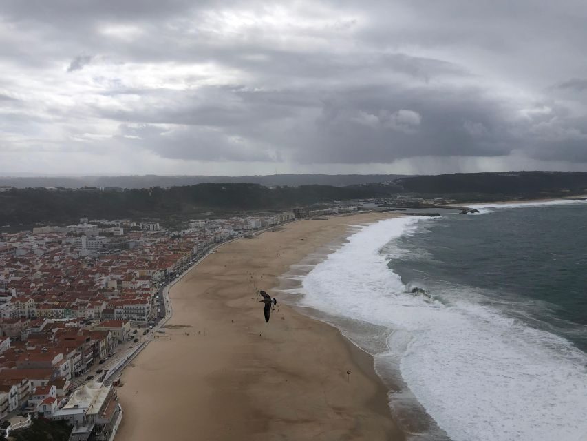 Nazaré: Big Wave Capital & Medieval Óbidos tour from Lisbon - Pricing and Value