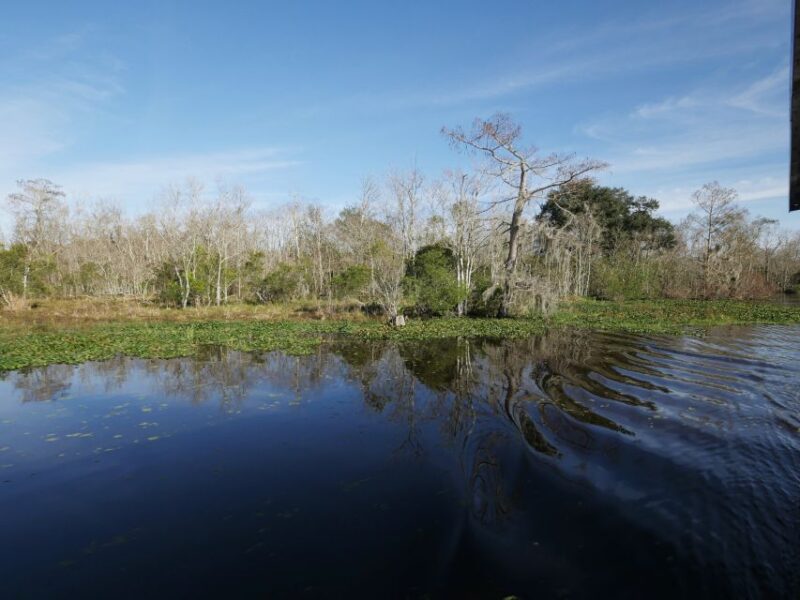 New Orleans: Airboat or Pontoon Boat Cruise with Transfers - Key Points