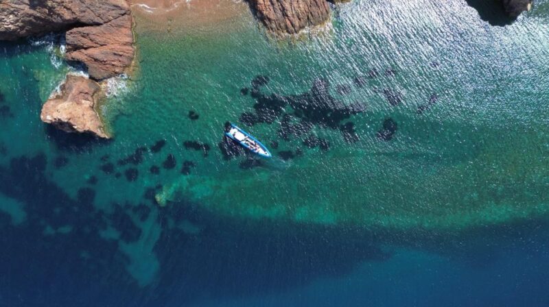 Nice: Lerins Islands Boat Tour with Snorkeling - Key Points