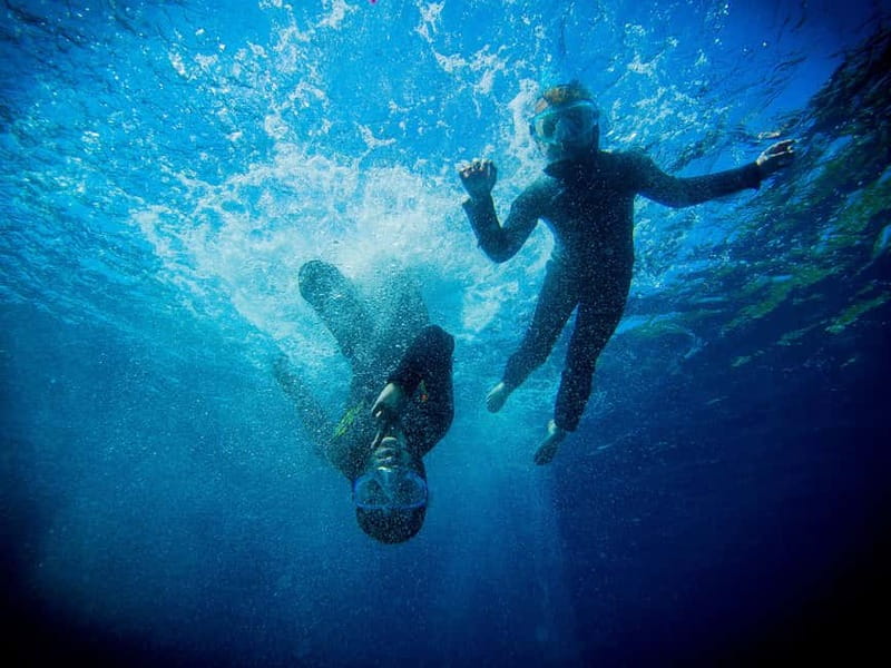 Nice: Snorkeling Speedboat Tour in Villefranche Bay - Key Points