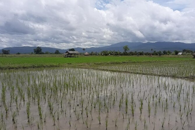 "No.1 Chiang Mai: Leisure Bicycle Ride to Lake Huay Tueng Tao" - What to Expect from the Tour