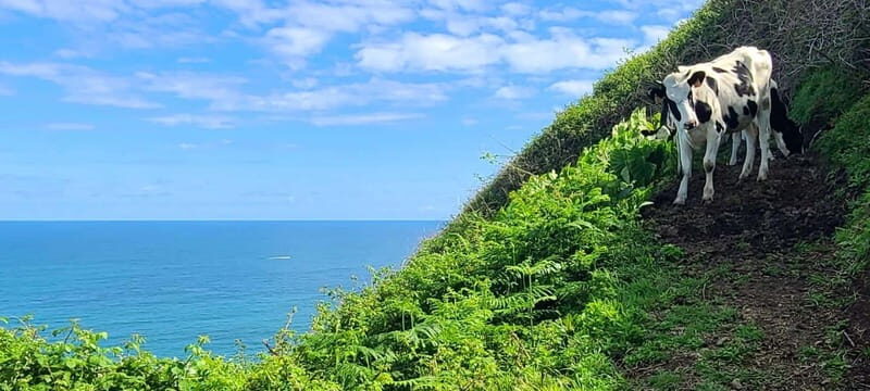 Nordeste/Northeast coast FULL DAY Waterfalls Hike - What to Expect from the Itinerary