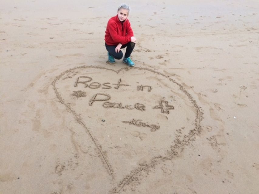 Normandy: D-Day Beaches Private Tour from Le Havre - Transport, Accessibility, and Practicalities