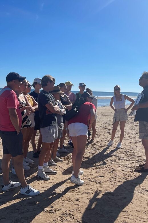 Normandy DDay Beaches Tours all year round - An In-Depth Look at the Normandy D-Day Beaches Tour