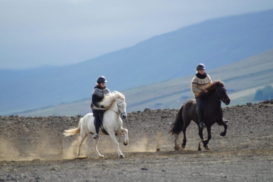 North Iceland: Horseback Riding Tour - The Value of This Tour