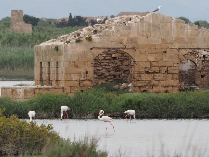 Noto: Guided trekking and birdwatching at Vendicari Reserve - Why This Tour Balances Nature and History