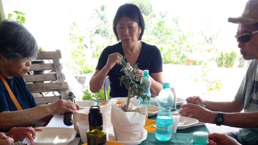 Nuoro: Visit an oil mill with oil tasting - Why This Tour Offers Great Value