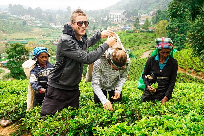 Nuwara Eliya Highlands from Kandy - Key Points