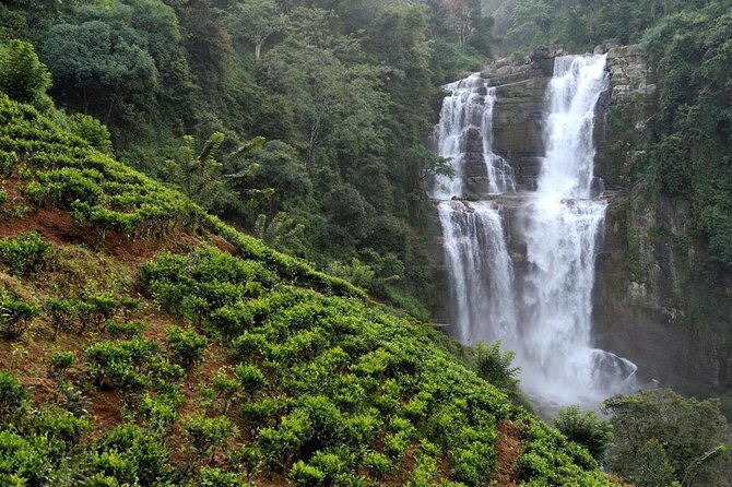Nuwara Eliya Tea factory and waterfall tour - Nuwara Eliya Tea Factory and Waterfall Tour: An Authentic Slice of Sri Lanka