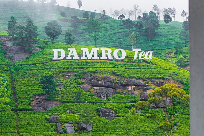 Nuwara Eliya Tea factory,plantation and Water Falls Tour - Introduction