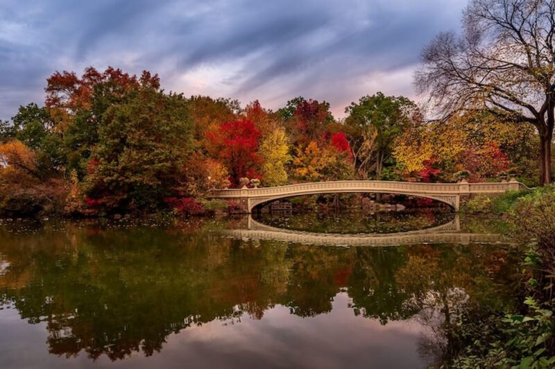 NYC: Central Park Christmas Lights Horse-Drawn Carriage Ride - Key Points