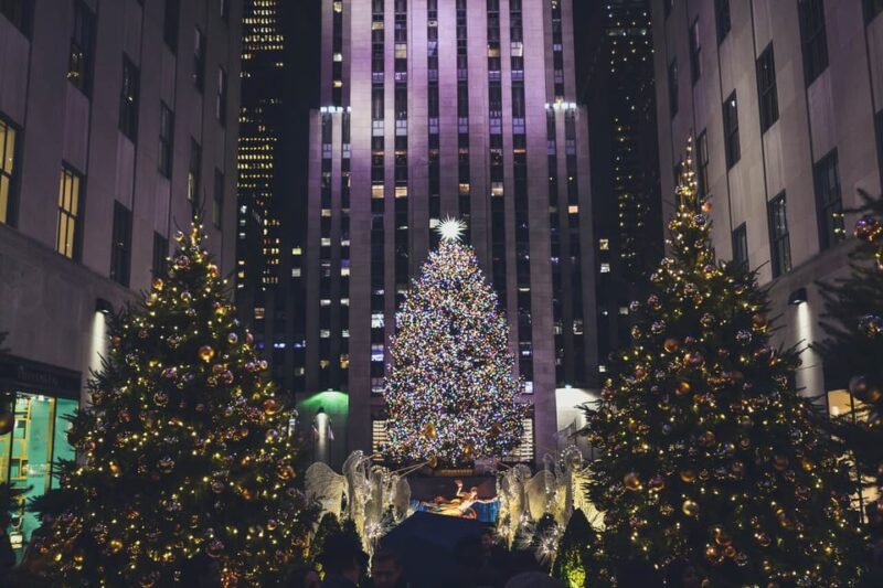 NYC: Private Dyker Heights and NYC Holiday Lights Tour - Key Points