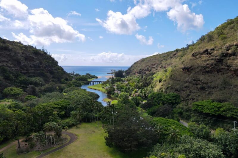 Oahu: Private Tour-North Shore feat. Waimea Falls - Key Points