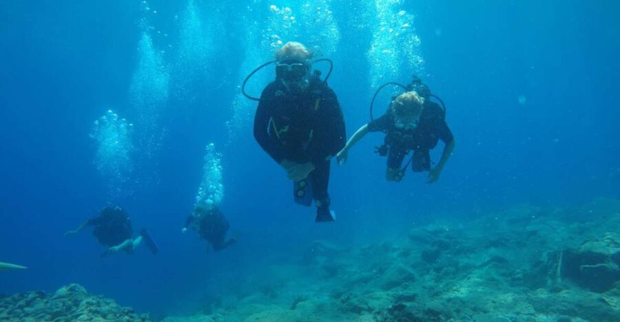 Oia: 2 Guided Scuba Dives off Santorini for Certified Divers - Authenticity & Realistic Expectations