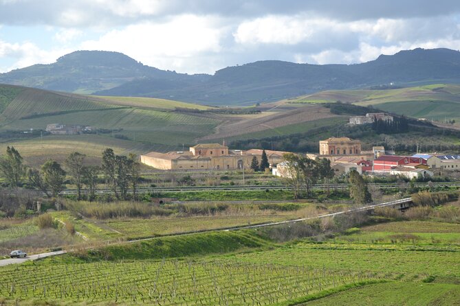 Oil Tour in Historic Baglio Florio Adamo with Lunch - Key Points